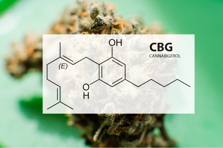 What Are the CBG Benefits? - ASE Pure Naturals